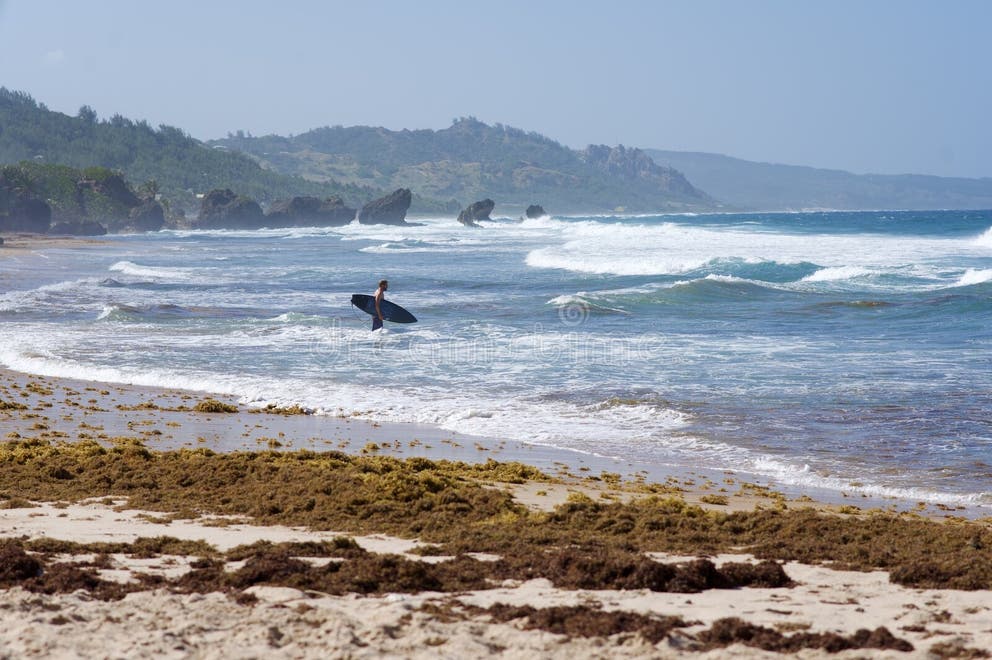 Surfer Enjoying the Waves on a Barbados Beach. Editorial Stock Image ...