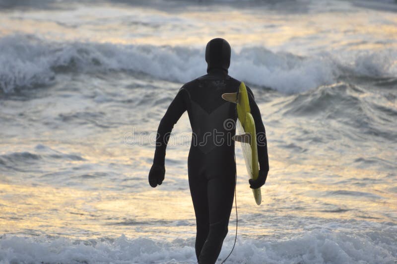 Surfer entering water stock image. Image of warm, neoprene - 8505207
