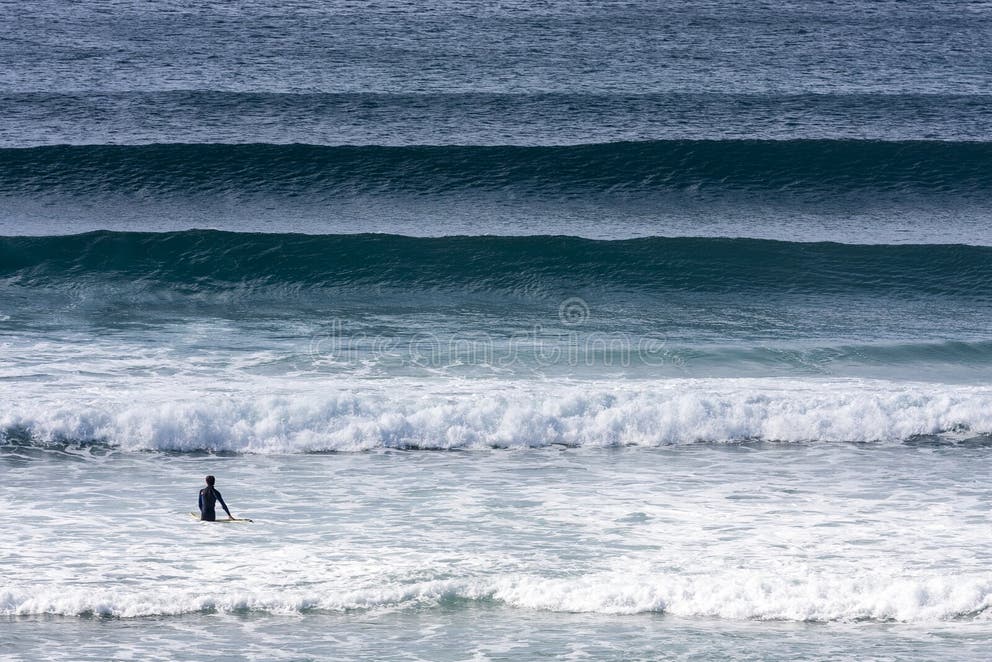 Surfer going out stock image. Image of surfing, vacation - 26260779