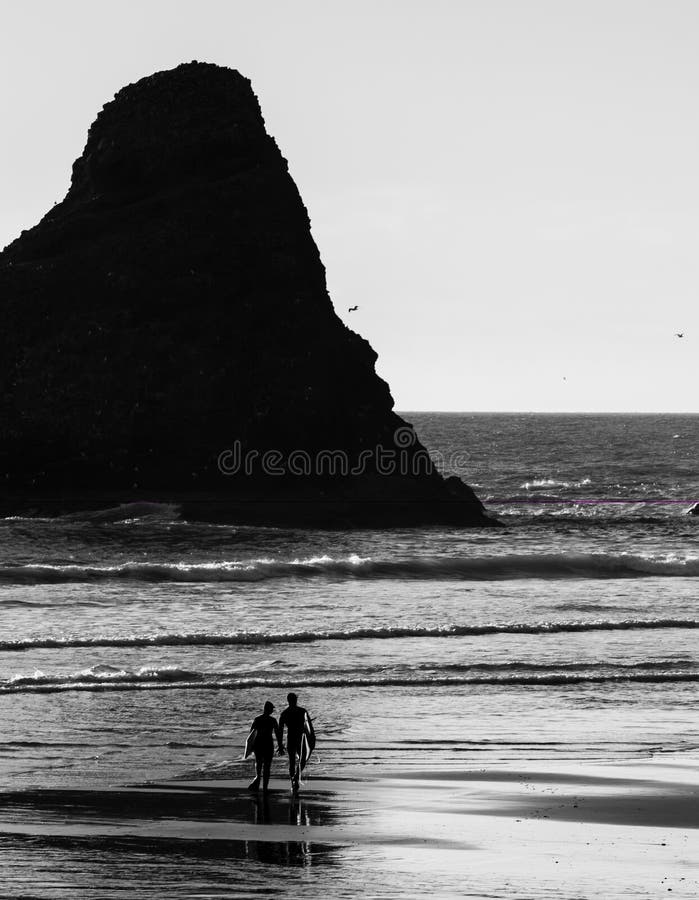 Surfer Love stock photo. Image of surfboard, seagulls - 73110990