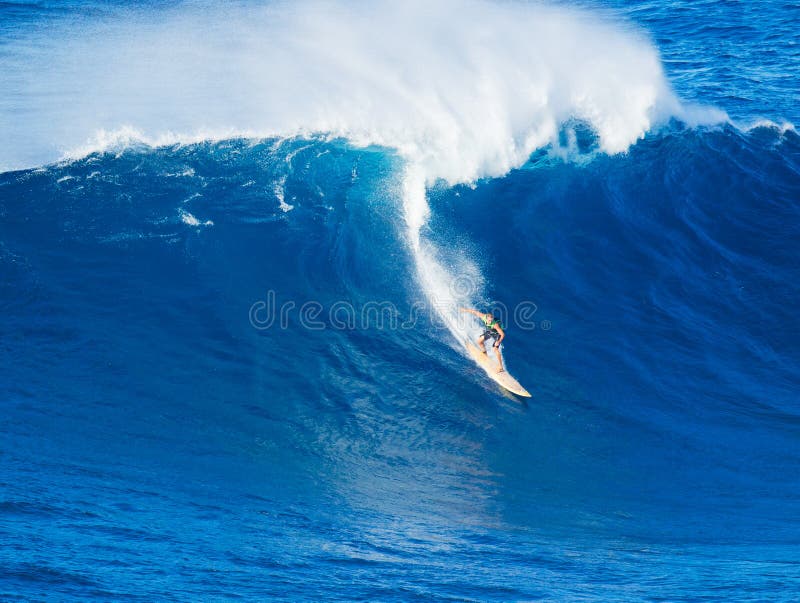 Riding Giant Turtle stock photo. Image of activity, tropics - 7470818