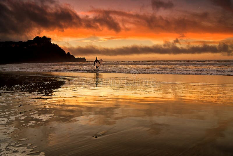 Surfer at sunset stock photo. Image of sunset, california - 31512386