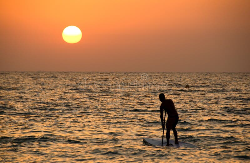 A surfer at sunset stock photo. Image of swimming, surfer - 45661972
