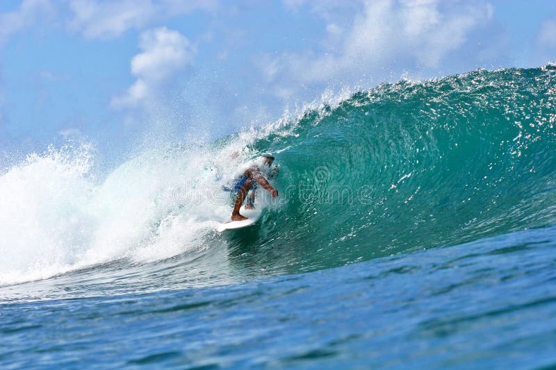 Surfing the Tube of a Wave stock photo. Image of athletes - 8890522