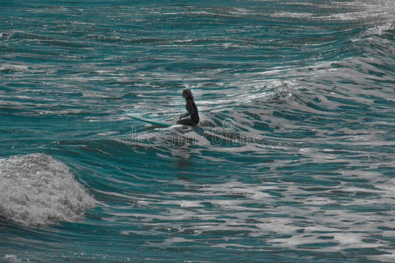 Surfer Waiting for the Wave Stock Photo - Image of australia, surf: 268325742