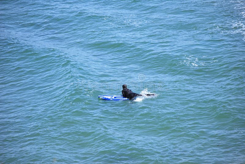 Surfer in water. stock image. Image of water, suit, board - 92268751