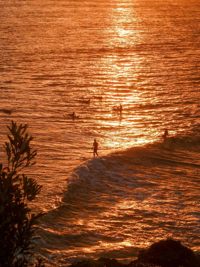 Surfer on Wave at Sunset stock image. Image of barrel - 22033999