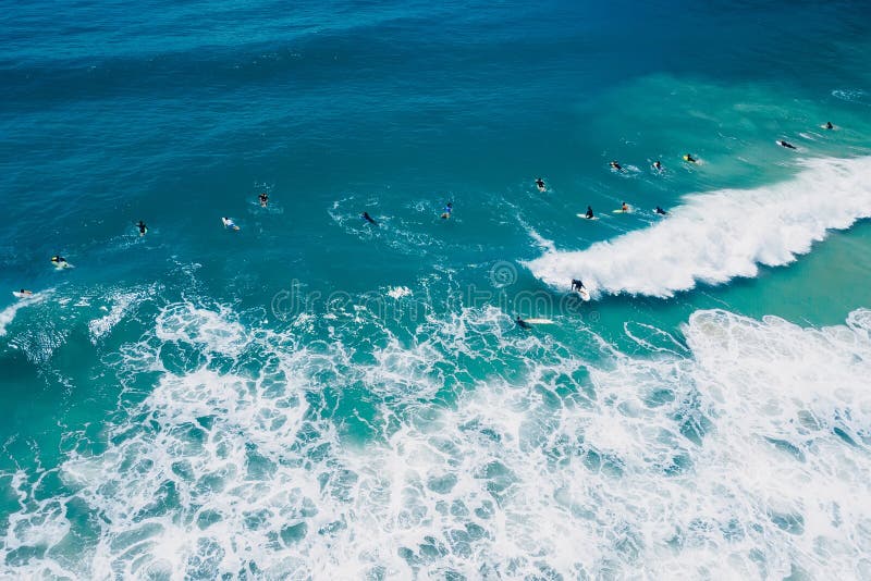 Surfers in Ocean on Surfboard and Waves. Aerial View Stock Image ...