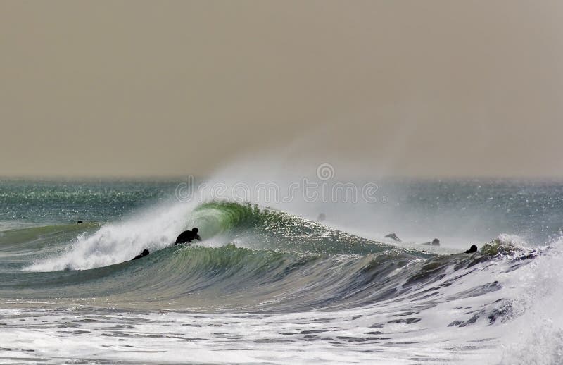 Surfers on breaking wave stock photo. Image of sporty - 4991628