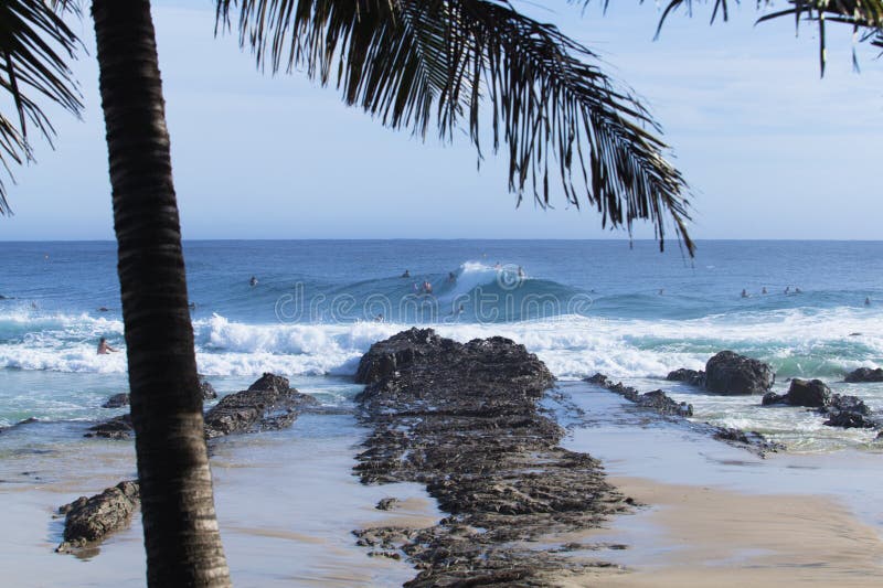 Surfers at Snapper Rocks stock photo. Image of athlete - 24890370