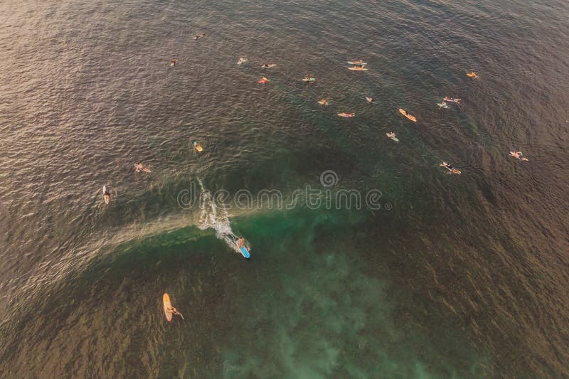 Surfers on the Waves in the Ocean, Top View Stock Photo - Image of ...