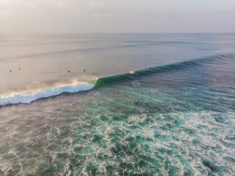 Surfers on the Waves in the Ocean, Top View Stock Photo - Image of ...