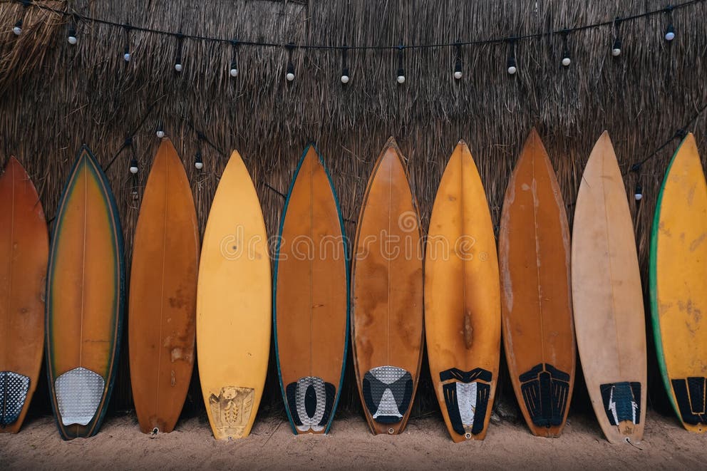 Surfing Boards on a Wall in Surf Camp Stock Photo - Image of paint ...