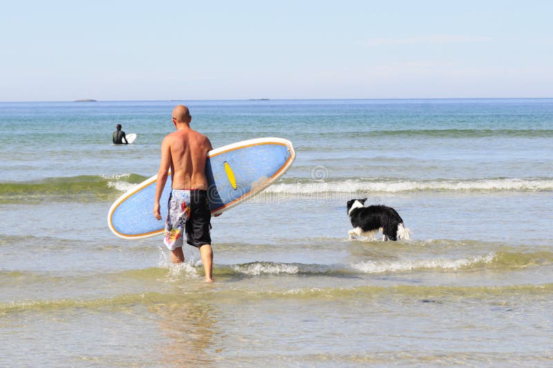 Surfing lifestyle stock photo. Image of sand, nature, surfing - 5940576