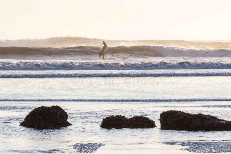 Surfing in the Oregon Coast Stock Photo - Image of beach, light: 191625528