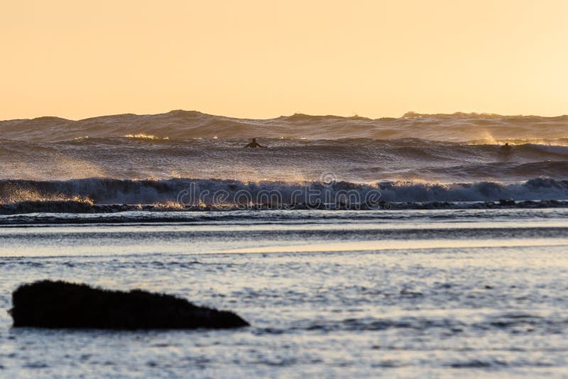 Surfing in the Oregon Coast Stock Photo - Image of light, riding: 191625548