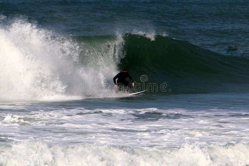 Surfing - riding the waves editorial photo. Image of sport - 135032811