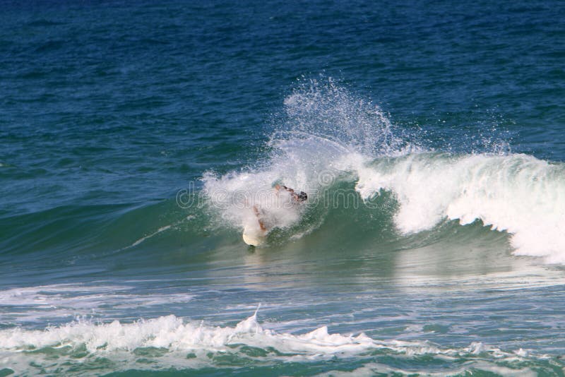 Surfing - Riding a Wave on Light Boards. Stock Photo - Image of rest ...