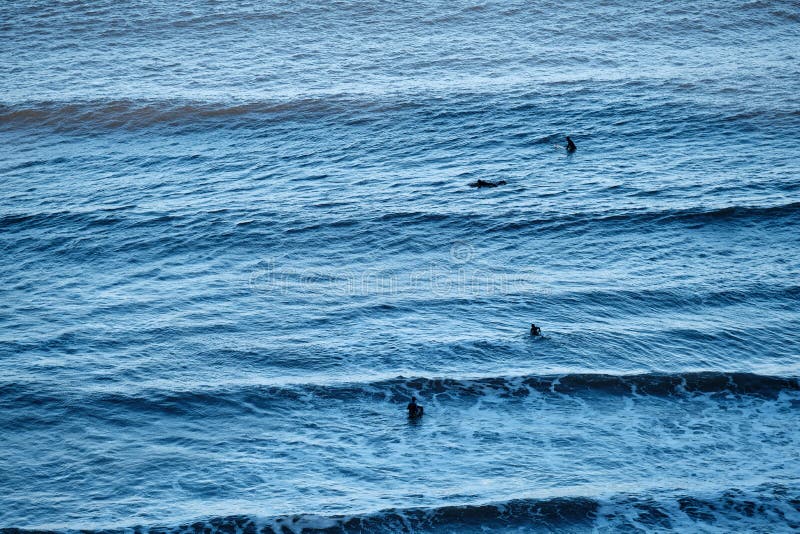 Surfing and Swimming in the Waves of the Ocean Stock Photo - Image of ...