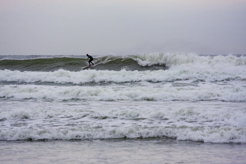 Surfing Tofino, BC in Cox Bay Editorial Photo - Image of waves, surfer ...