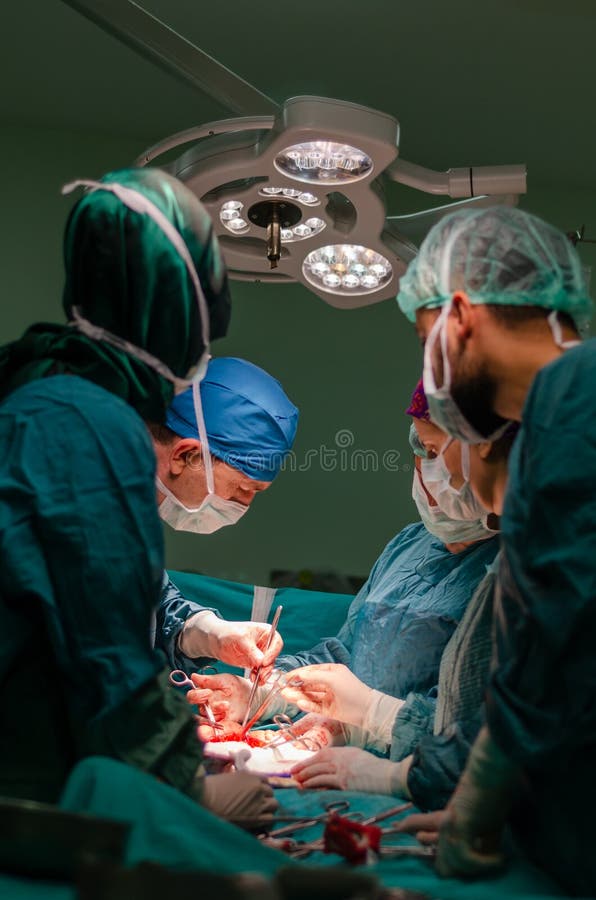 A Surgeon Doctor is Stitching a Wound after an Operation Stock Photo ...