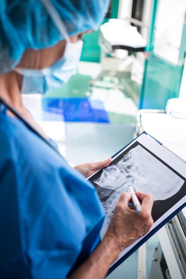 Surgeon examining x-ray stock image. Image of clinic - 77227133