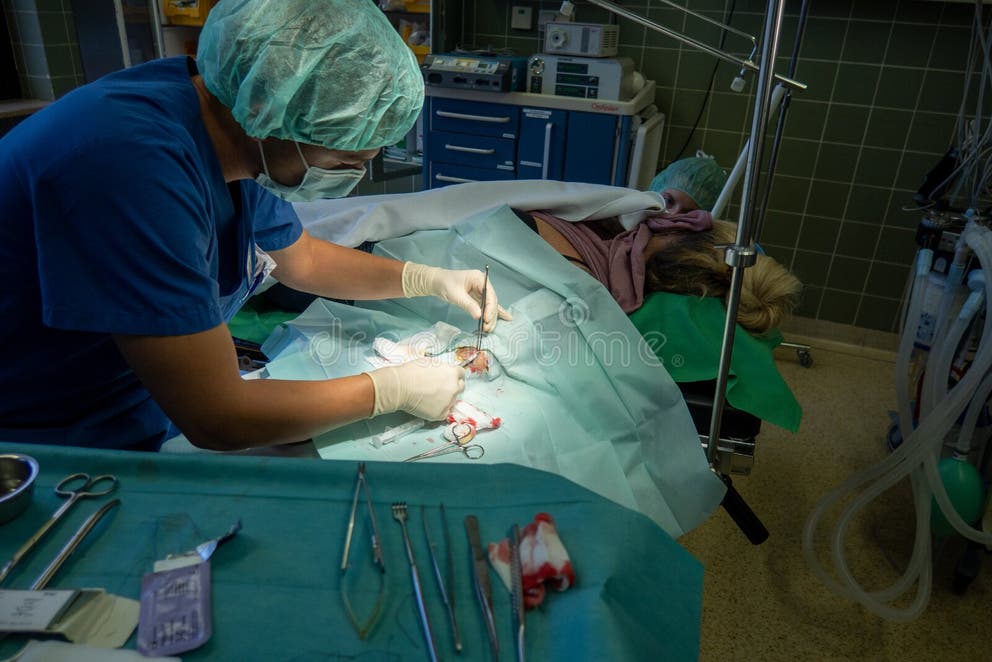 Surgeon Sutures a Small Wound on a Patient with Needle Holder and ...