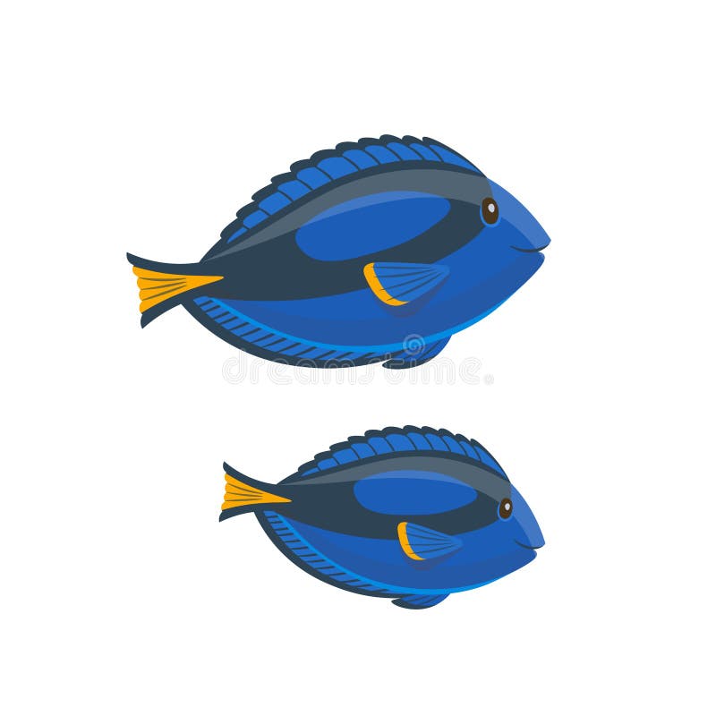 Surgeonfish. Vector. stock vector. Illustration of reef - 4736831