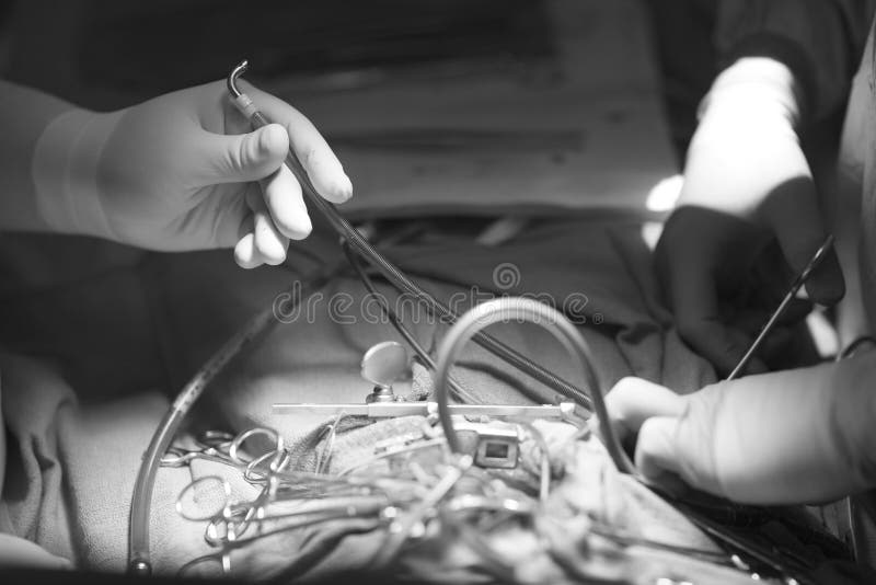 Time for surgery stock photo. Image of female, services - 33824710