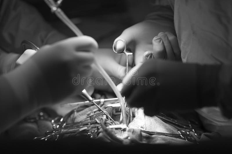 Time for surgery stock photo. Image of female, services - 33824710