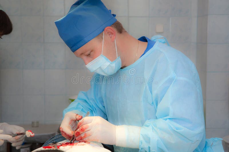 Surgeon making phlebectomy stock image. Image of phlebitis - 2378635