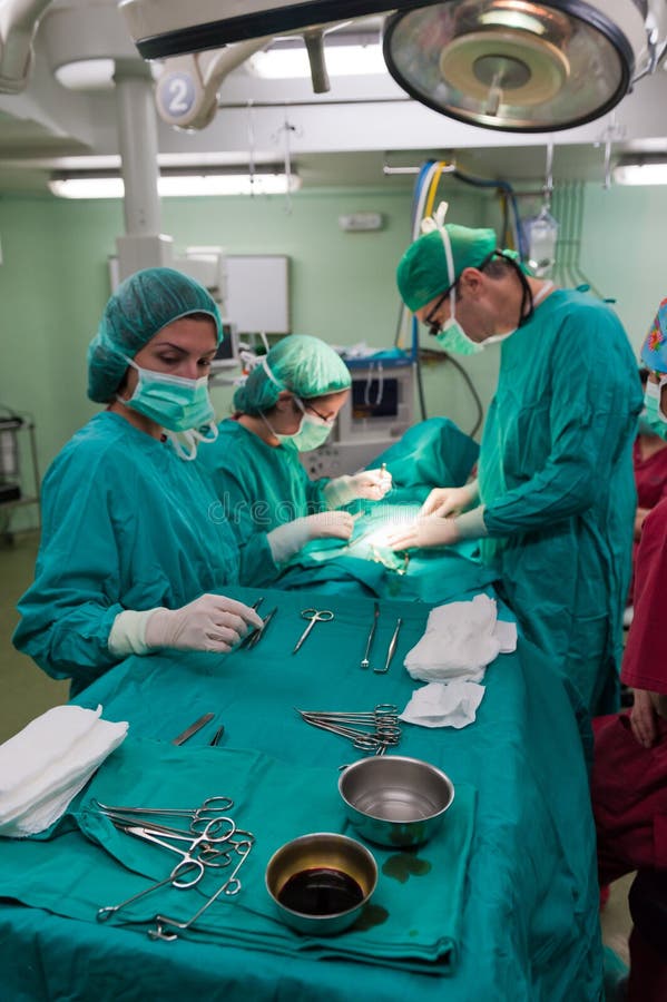 Surgery scene 15 stock image. Image of sterile, stained - 42053567