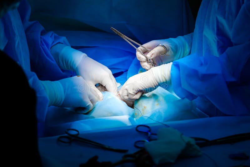 Surgical Instruments in the Hands of Doctors during a Surgical ...