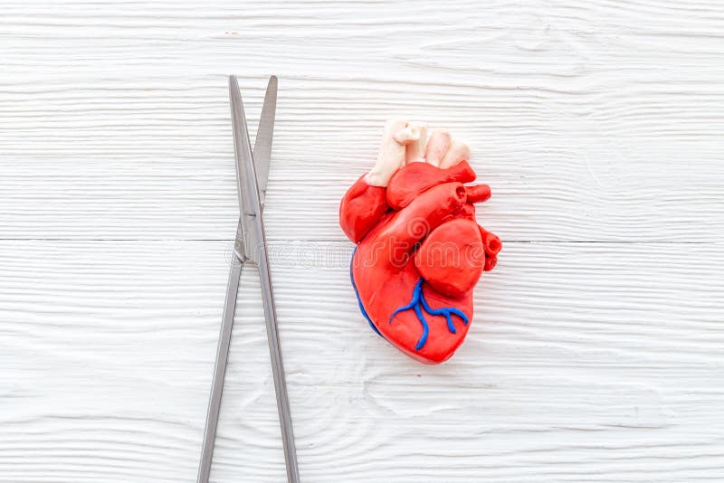 Surgical Instruments and Heart Model. Heart Surgery Concept Stock Image ...