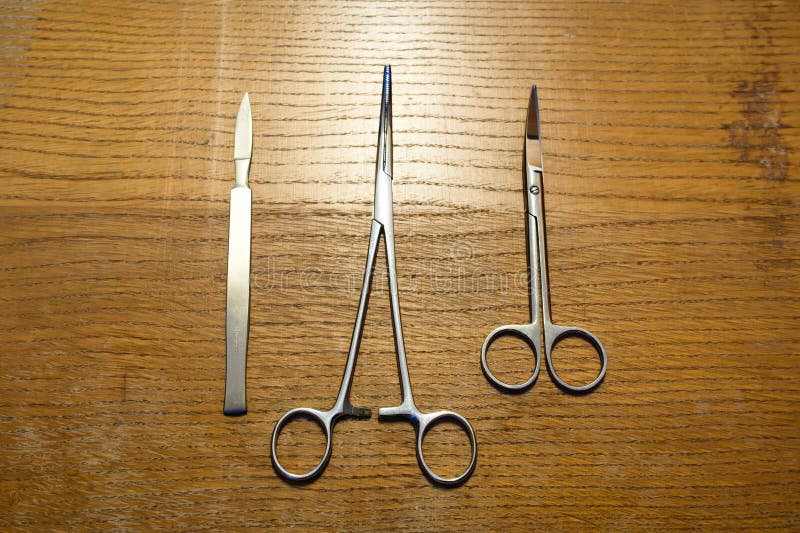 Surgical Instruments Set on Wooden Table Stock Image - Image of ...