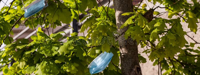 Surgical Masks Thrown on a Tree. Human Incivility Stock Image - Image ...