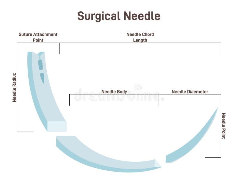Surgical Needle. Trihedral Cross-sectional Shape, Double Type Stock ...