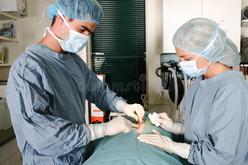 Surgical procedure stock image. Image of health, hospital - 17756751