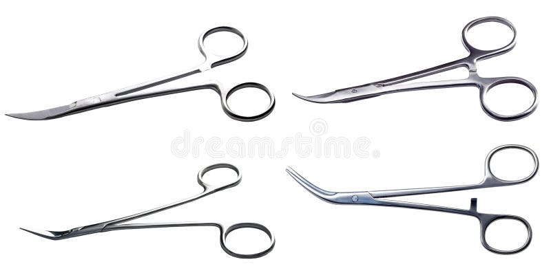 Surgical Scissors Isolated on White Background with Optional Png Format ...