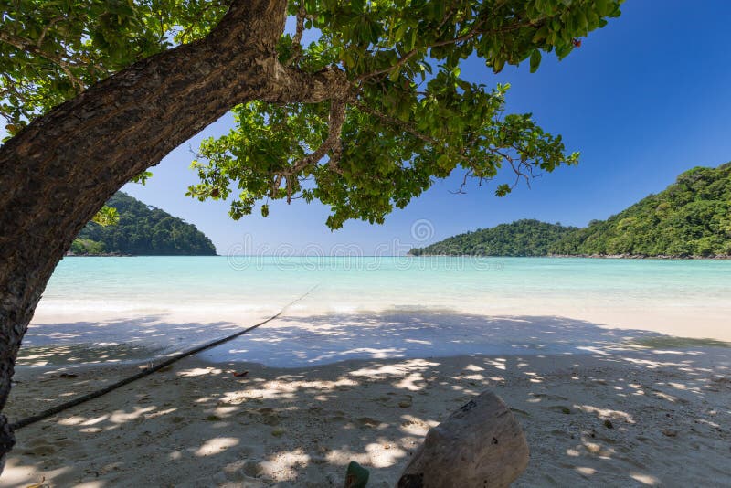 Surin Island, Thailand stock image. Image of beach, surin - 91524265