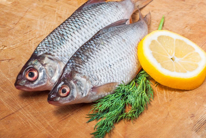 Surowa Ryba Z Cytryną I Koperem Obraz Stock - Obraz złożonej z dilled ...