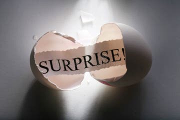 Surprise! stock image. Image of fresh, humor, holder, gift - 417391