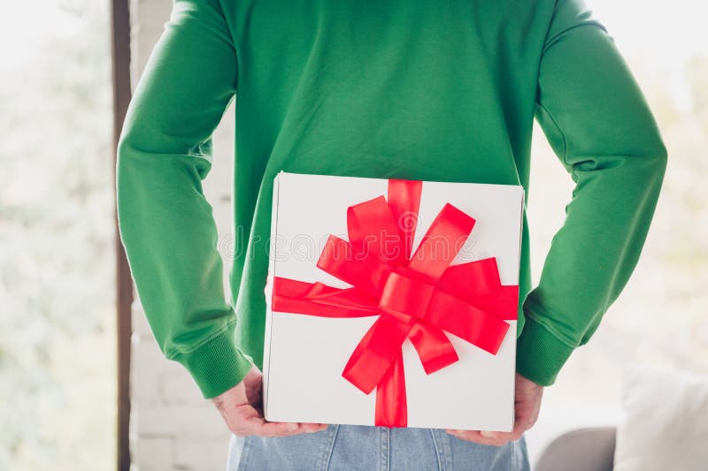 Surprise Gift Box Adorned with a Red Ribbon, Creatively Hidden Behind ...