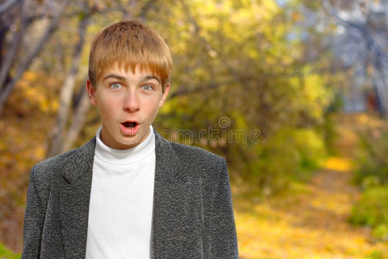 Surprised boy stock image. Image of mouth, cheerful, happiness - 3505489
