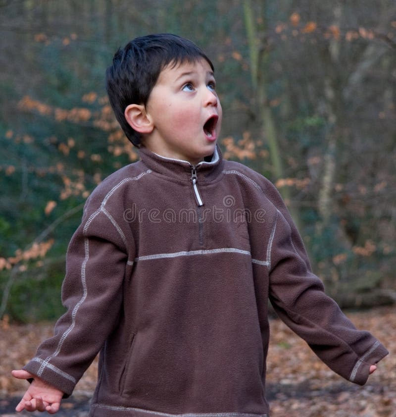 Surprised Boy stock photo. Image of funny, impressed, child - 7634552