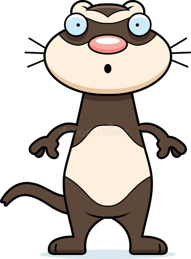 Ferret Stock Illustrations – 3,347 Ferret Stock Illustrations, Vectors ...