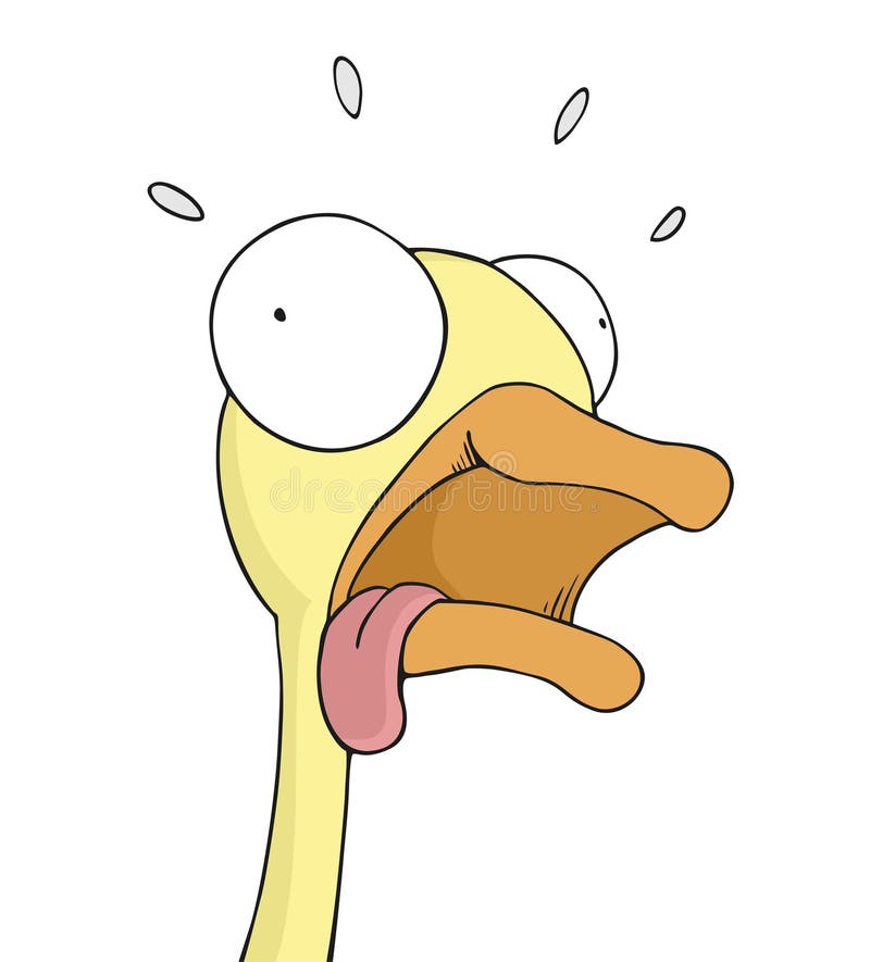 Surprised Duck Illustration Stock Vector - Illustration of bird ...