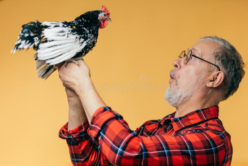 Surprised Funny Man is Talking with a Stock Image - Image of isolated ...