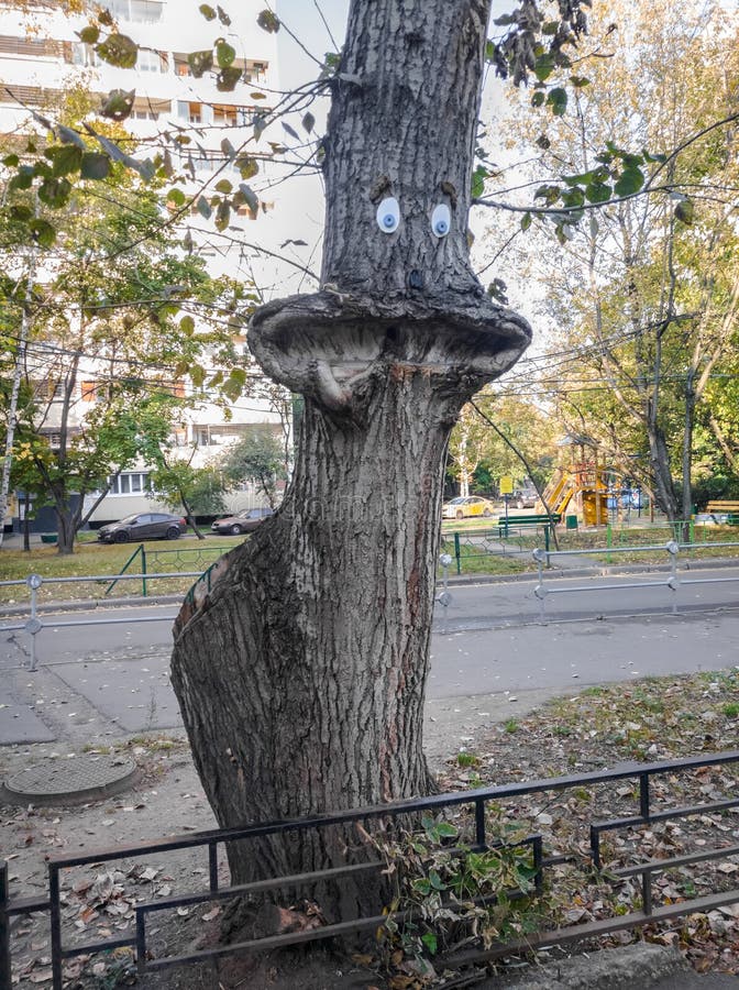 Surprised poplar stock image. Image of humour, damaged - 128499583