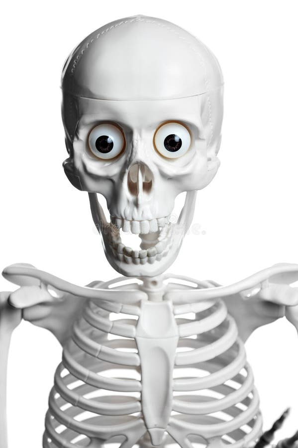 Surprised Skeleton with Open Mouth Stock Image - Image of casual ...